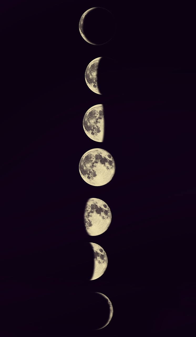 A Beginner’s Guide to Manifesting with the Moon - Sprouted Lavender